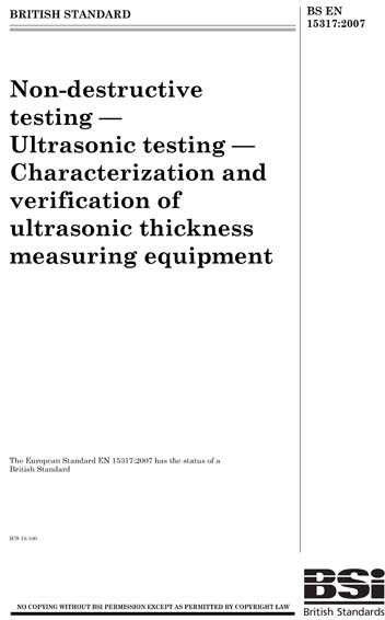 BS EN 15317:2007 - Non-destructive testing. Ultrasonic testing ...